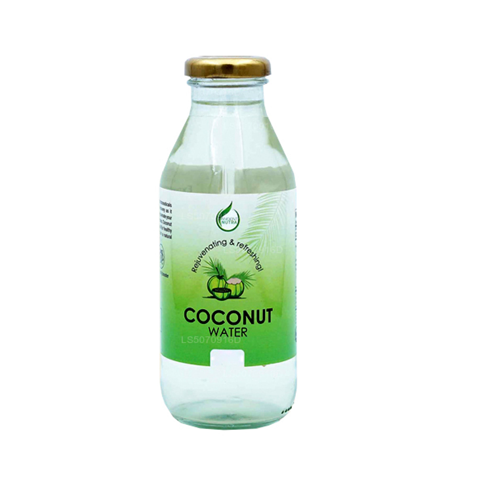 Ancient Nutra Coconut Water (330ml) – Lakpura®
